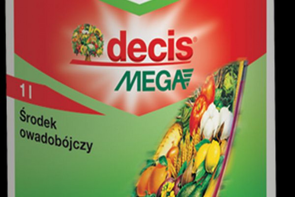 Decis Mega uzyskał rejestrację
