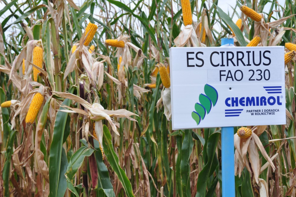 Wysyp nowości - firma Chemirol