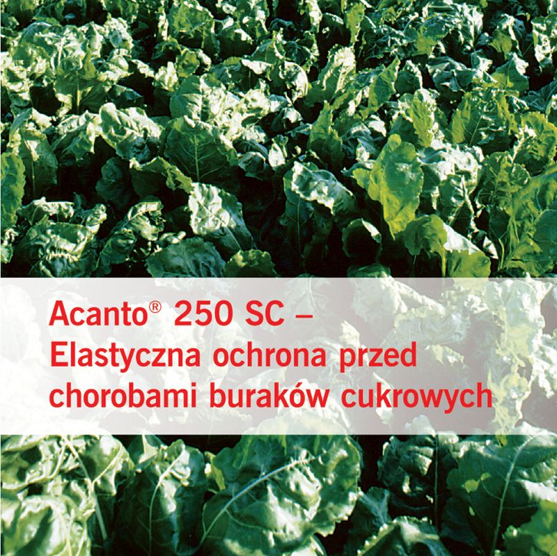 Odkryj źródło elastyczności w ochronie roślin