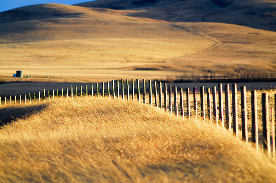 Rolnictwo kanadyjskie