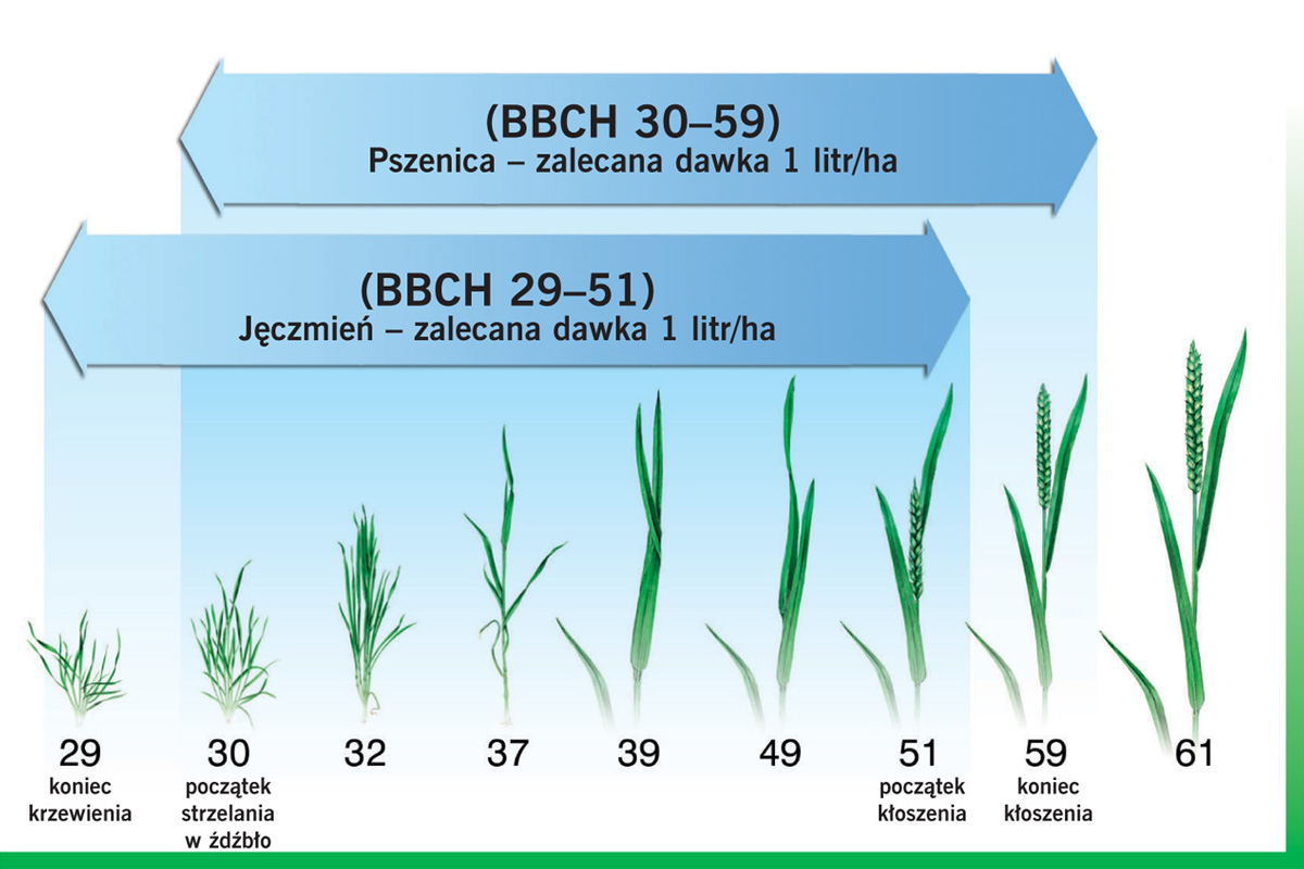 Acanto 250 SC - odkryj źródło elastyczności w ochronie roślin