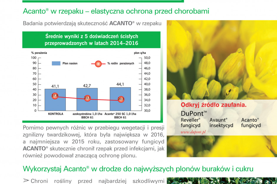 Acanto 250 SC - odkryj źródło elastyczności w ochronie roślin - Nawozy