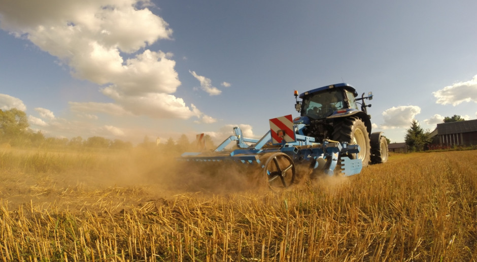 Jak przygotować pole pod rzepak w warunkach suszy? - Produkcja roślinna