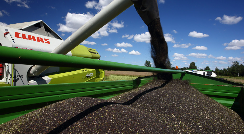 Rzepak na MATIF najdroższy w historii notowań