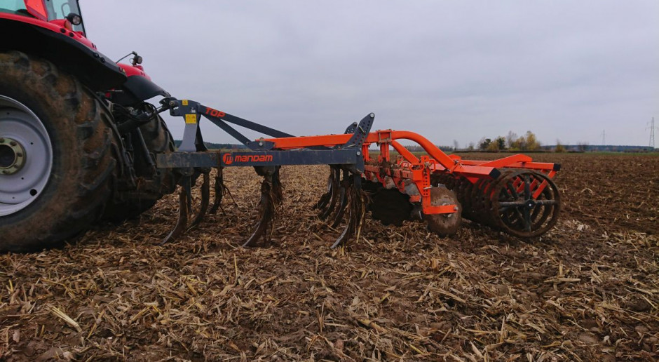 Mandam Top 3,0 w głębokiej uprawie po kukurydzy