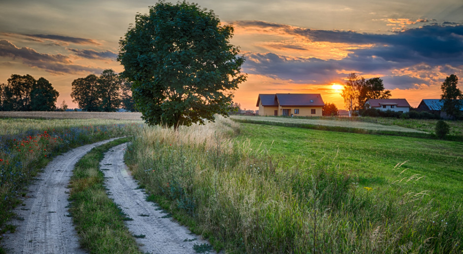 Ile gospodarstw rolnych w Polsce? Jaka jest struktura gospodarstw?