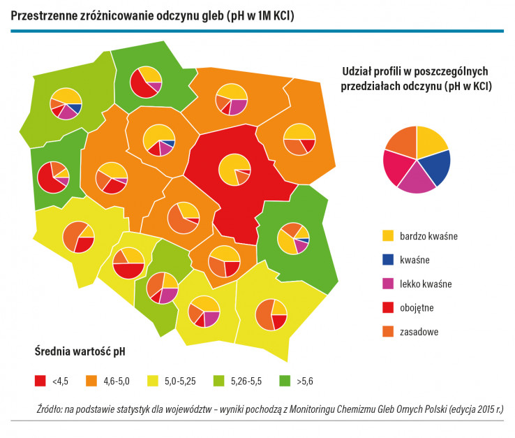 Jak zadbać o zdrowie i regenerację gleby?