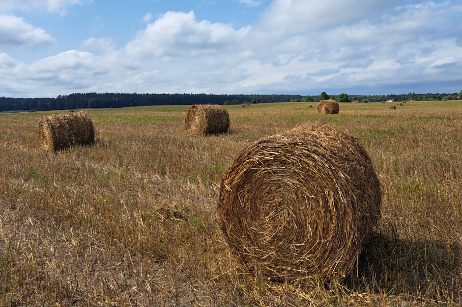 Jaki będzie budżet na rolnictwo w 2023 r.?
