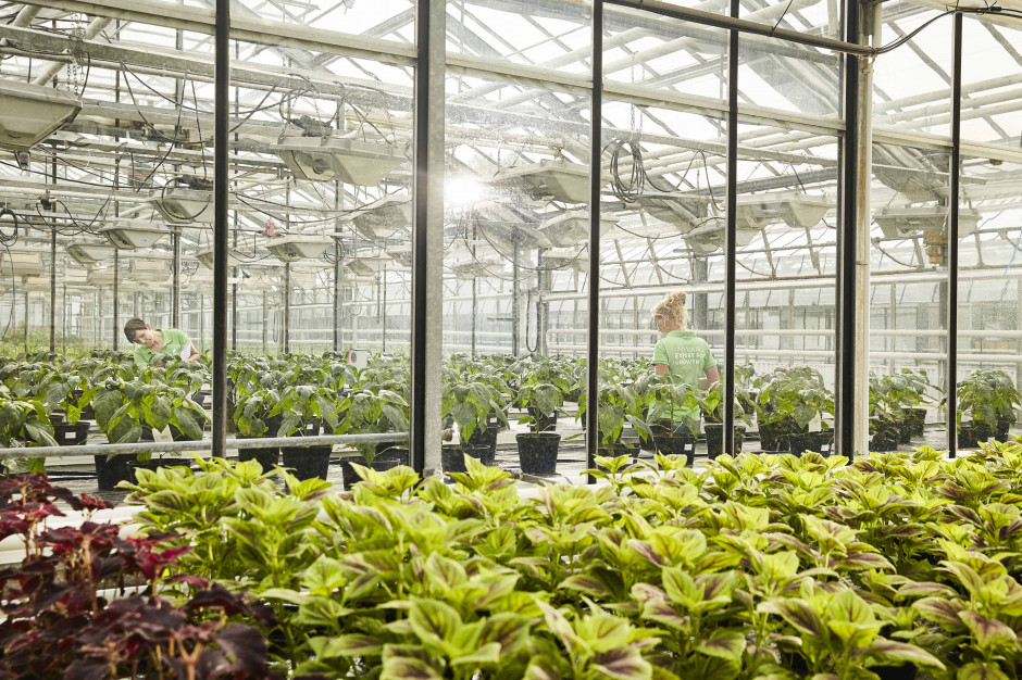 Agrochem Puławy wyłącznym dystrybutorem produktów Compo Expert