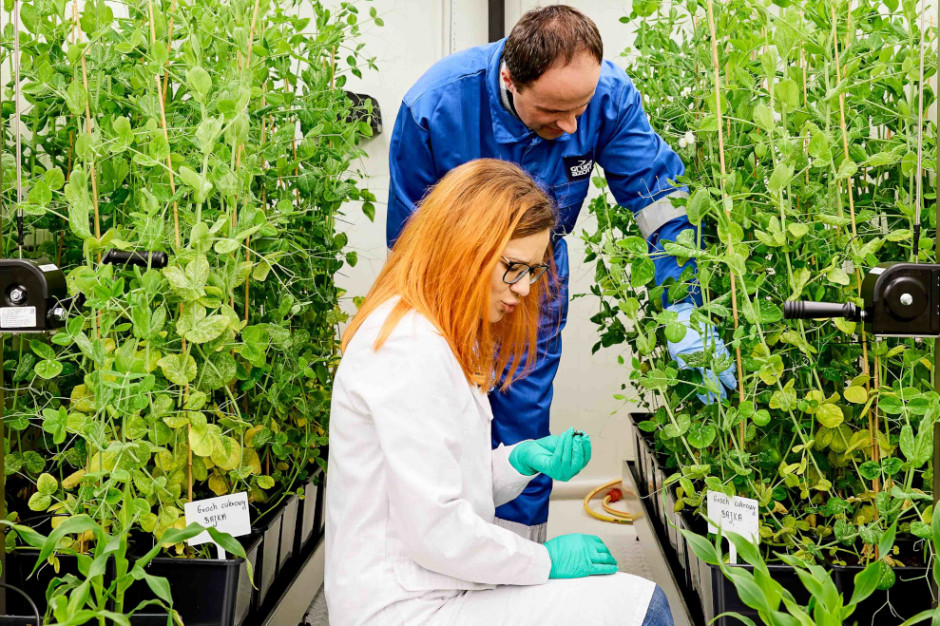 Komora fitotronowa powstała w centrum badawczo-rozwojowym Grupy Azoty w ...