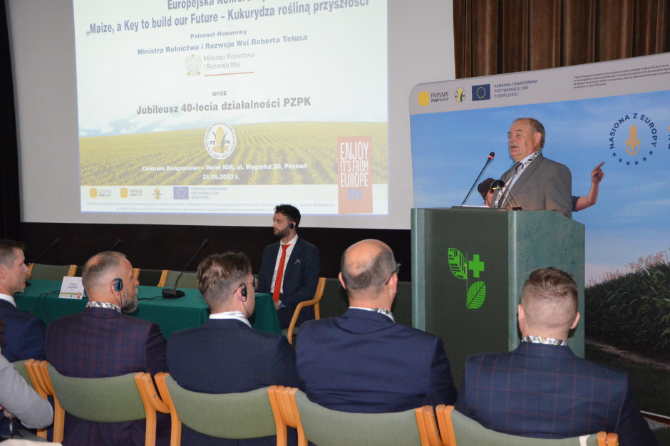 Czy kukurydza jest rośliną przyszłości?