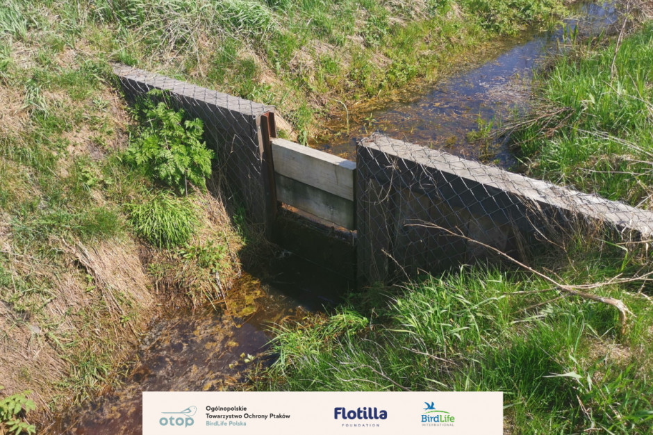 Ograniczenie spływu biogenów jest łatwe i opłacalne