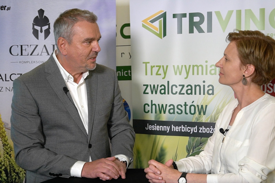 Jakie cele na przyszłość w rozwoju Innvigo?