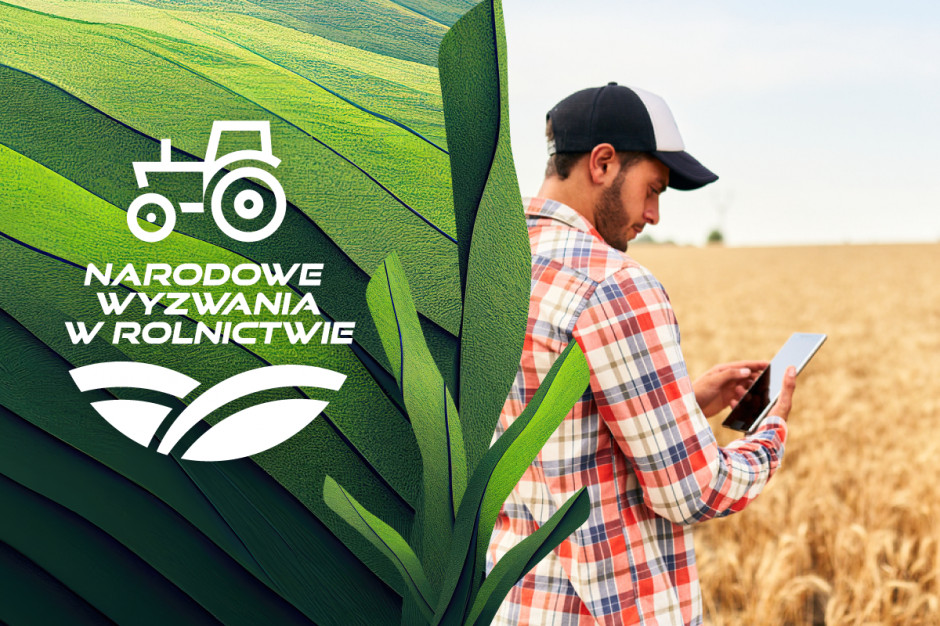 Jak łatwo rozwijać cyfryzację w gospodarstwie?