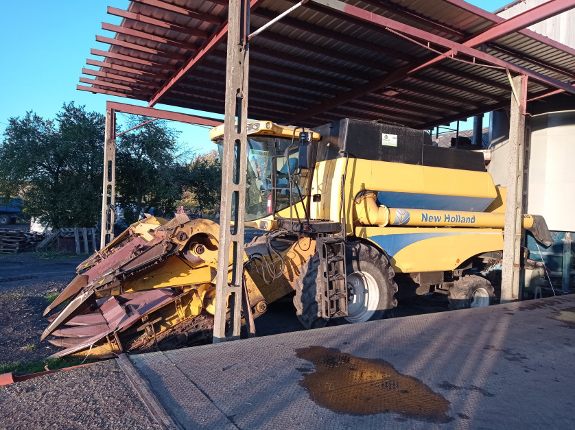 Żniwa kukurydziane na Opolszczyźnie. Plony, suszenie i ceny