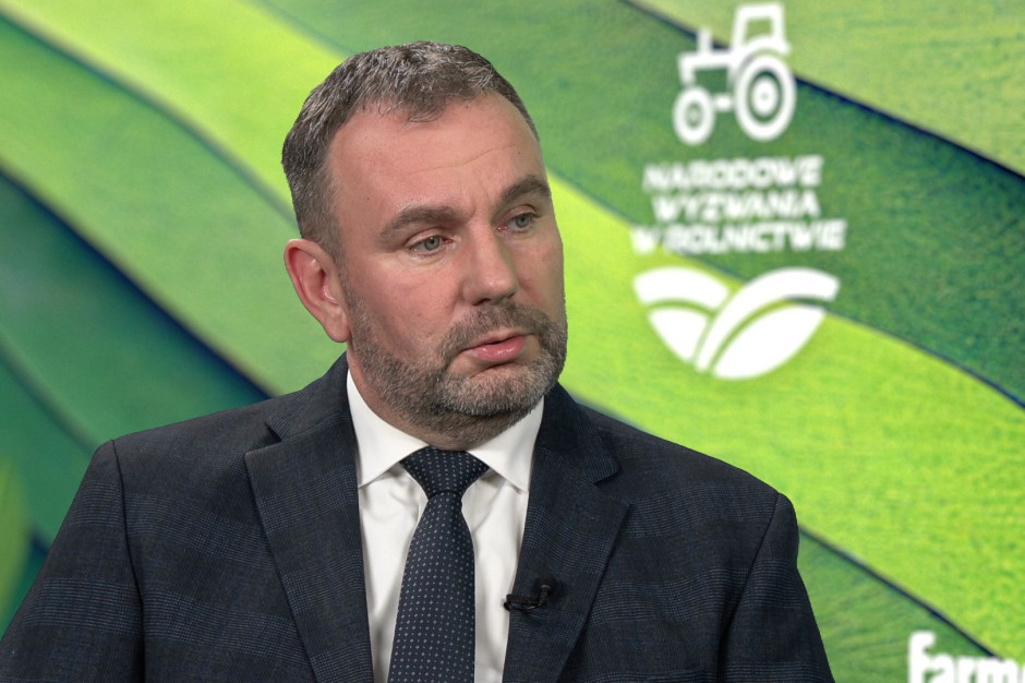 Przyszłość hodowli rzepaku - rozmowa z Arturem Kozerą z firmy Rapool