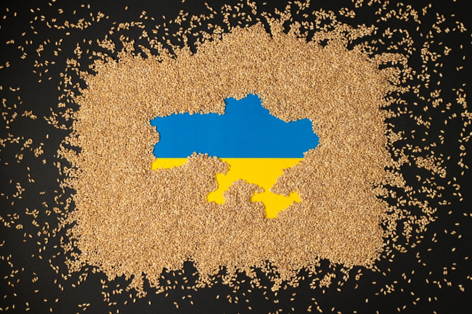 Kto eksportował produkty rolne z Ukrainy? TOP 10 największych firm