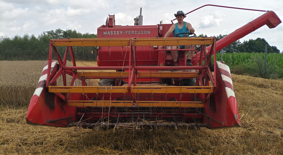 Pracujące klasyki. Massey Ferguson 86