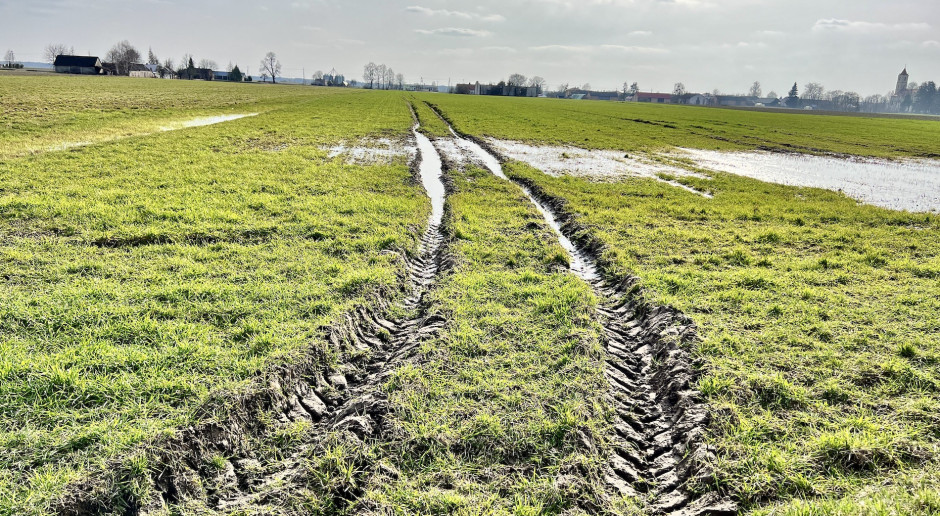 Grząskie pole, koleiny i co dalej?