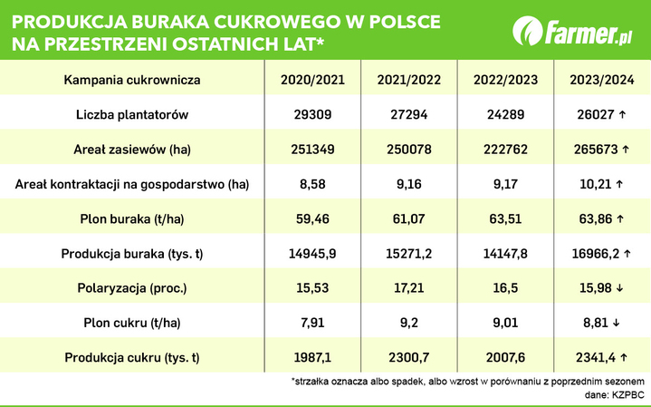 Uprawa buraka cukrowego w Europie. Wielkie rozczarowanie