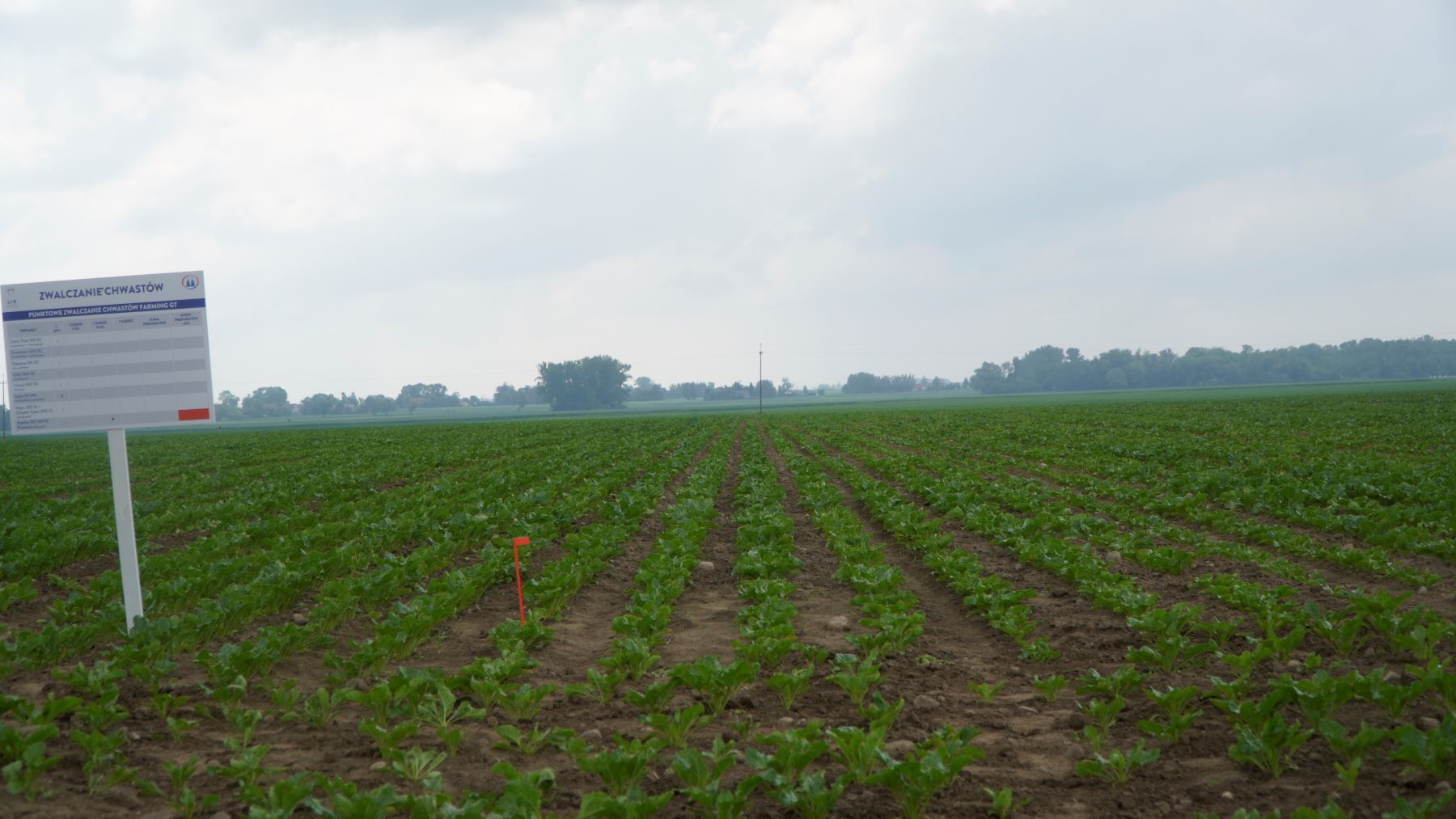 Roboty pokazały klasę. Farming GT - pielenie i oprysk buraków