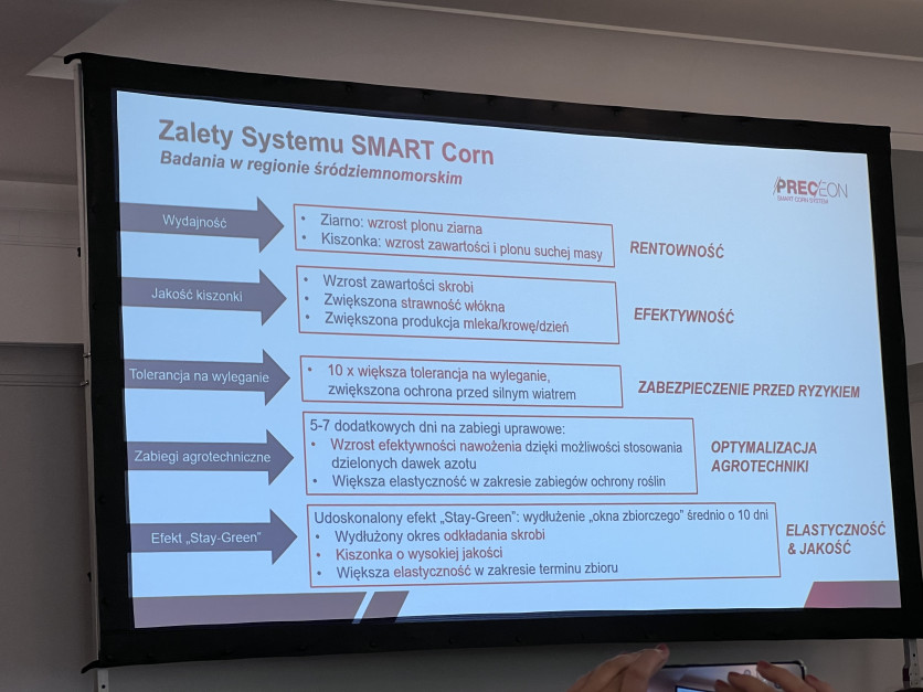 Nawet 130 tys. nasion kukurydzy na hektar. Bayer rozwija Smart Corn i ...