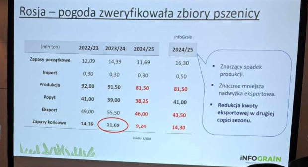 Ceny zbóż w 2025 r. Analityk wyjaśnia, jaka będzie produkcja, zapasy i ...