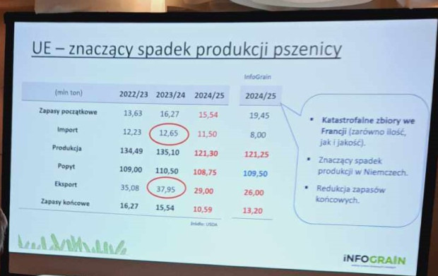 Ceny zbóż w 2025 r. Analityk wyjaśnia, jaka będzie produkcja, zapasy i ...