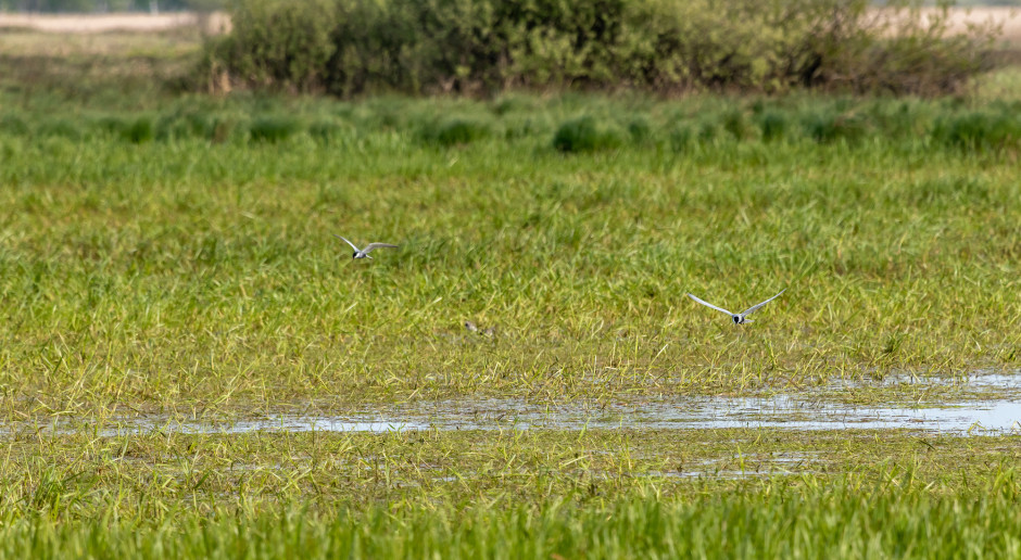 GAEC 2. Jak został wyznaczony ten obszar i czy będzie możliwe odwołanie?