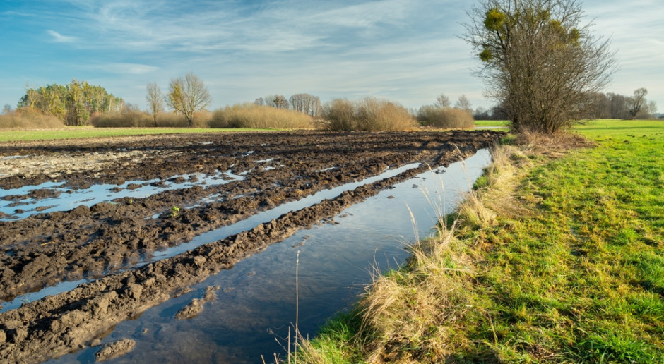 Czy rolnik musi przywrócić TUZ na działce w związku z GAEC 2?
