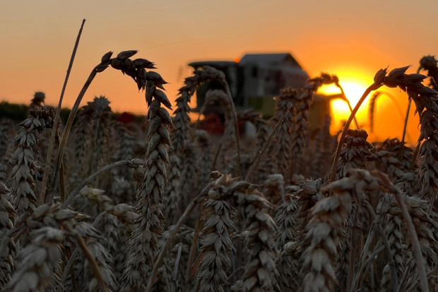 Towarowa Gra Giełdowa - wiadomości i popularne artykuły z portalu Farmer.pl