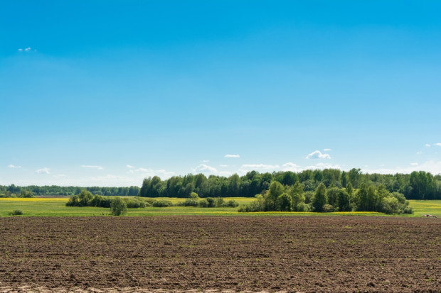 działki pod CPK - wiadomości i popularne artykuły z portalu Farmer.pl