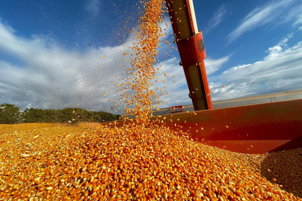 rolnictwo Ukraina - wiadomości i popularne artykuły z portalu Farmer.pl