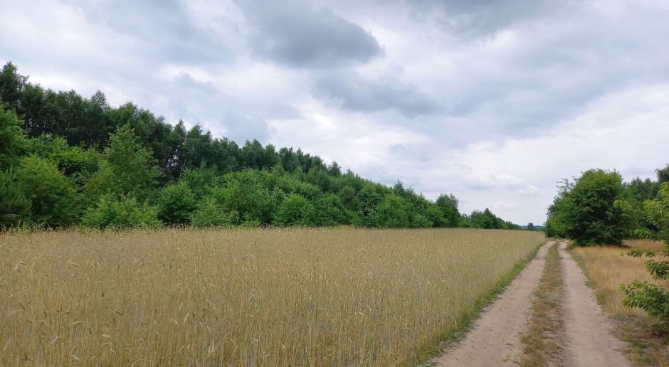 Ponad milion złotych za hektar ziemi V i VI klasy na Podlasiu. KOWR ...